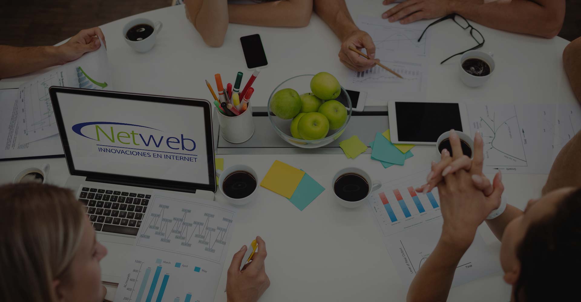 EMPRESA⋆netweb studio,diseño de tiendas virtuales, desarrollo web ...